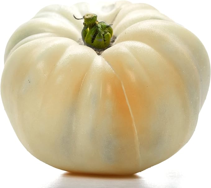 Welcome to Harvest Agriculture - Saudi Arabia