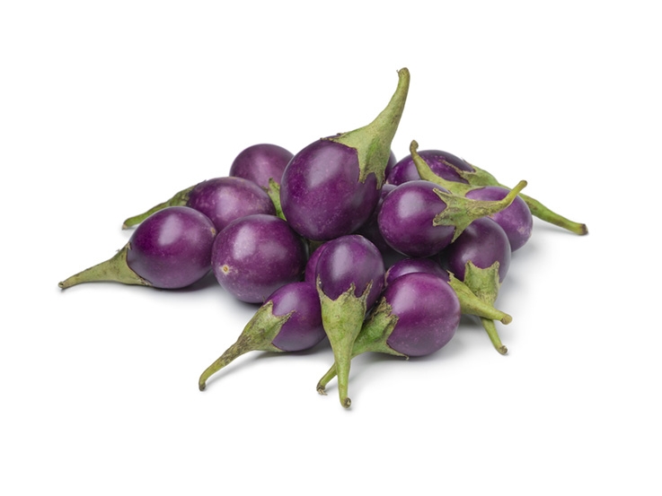 Welcome to Harvest Agriculture - Saudi Arabia