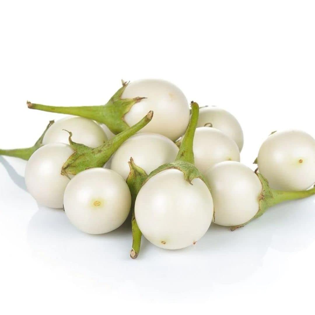 Welcome to Harvest Agriculture - Saudi Arabia