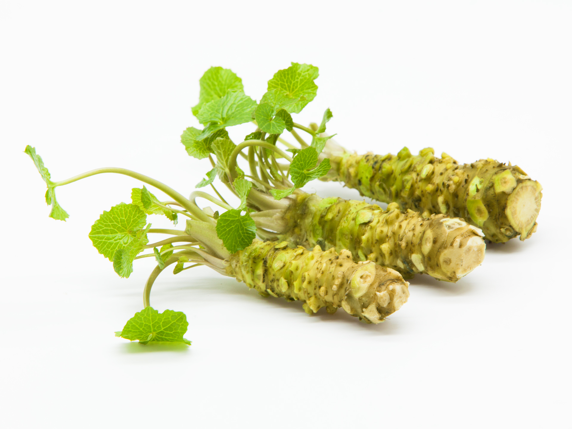 Welcome to Harvest Agriculture - Saudi Arabia