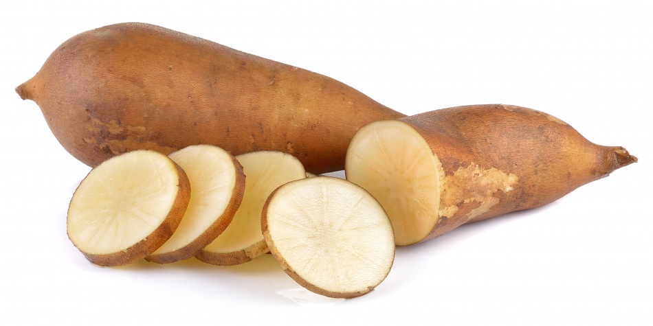 Welcome to Harvest Agriculture - Saudi Arabia