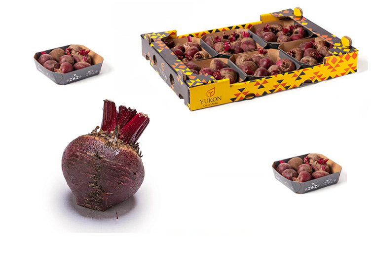 Welcome to Harvest Agriculture - Saudi Arabia