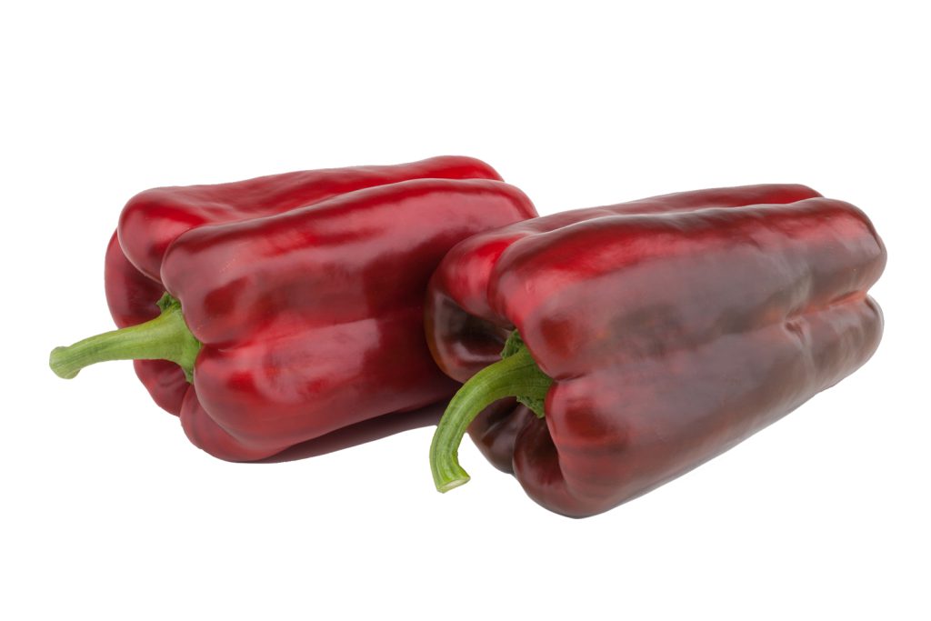 Welcome to Harvest Agriculture - Saudi Arabia