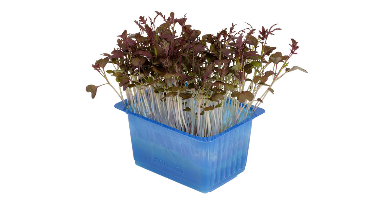 Welcome to Harvest Agriculture - Saudi Arabia