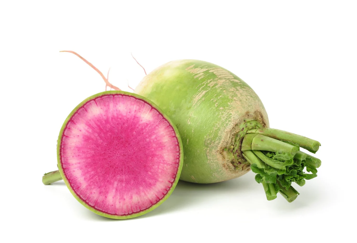 Welcome to Harvest Agriculture - Saudi Arabia