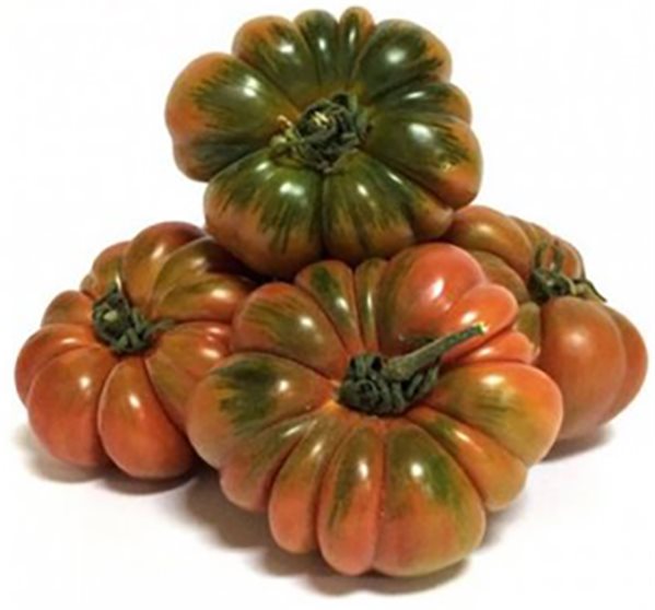 Welcome to Harvest Agriculture - Saudi Arabia