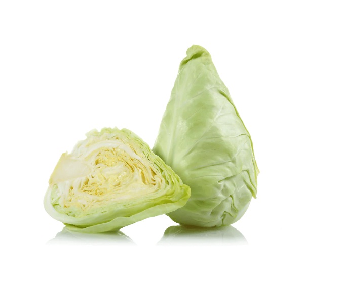 Welcome to Harvest Agriculture - Saudi Arabia