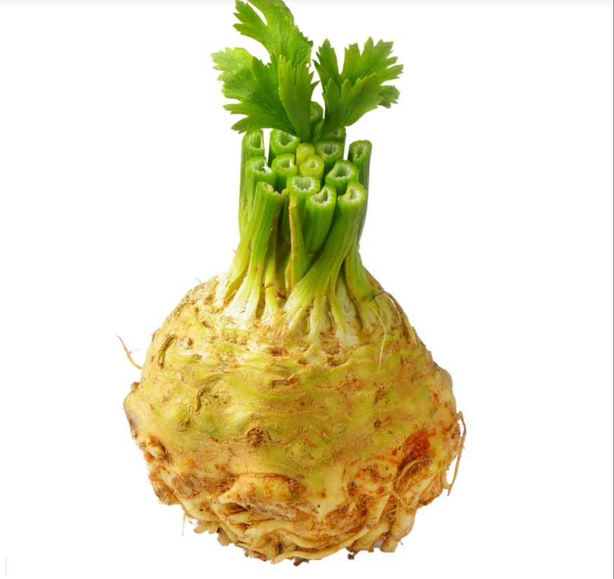 Welcome to Harvest Agriculture - Saudi Arabia