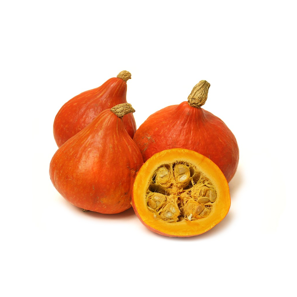 Welcome to Harvest Agriculture - Saudi Arabia