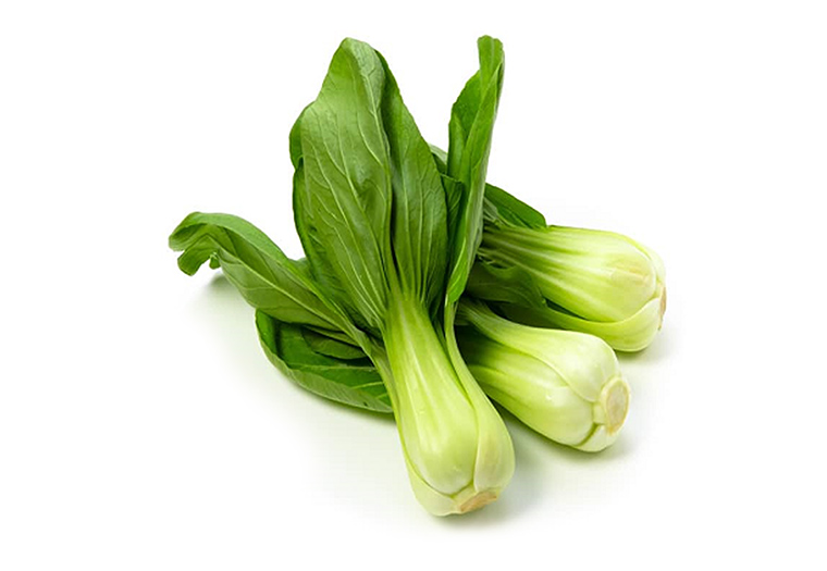 Welcome to Harvest Agriculture - Saudi Arabia