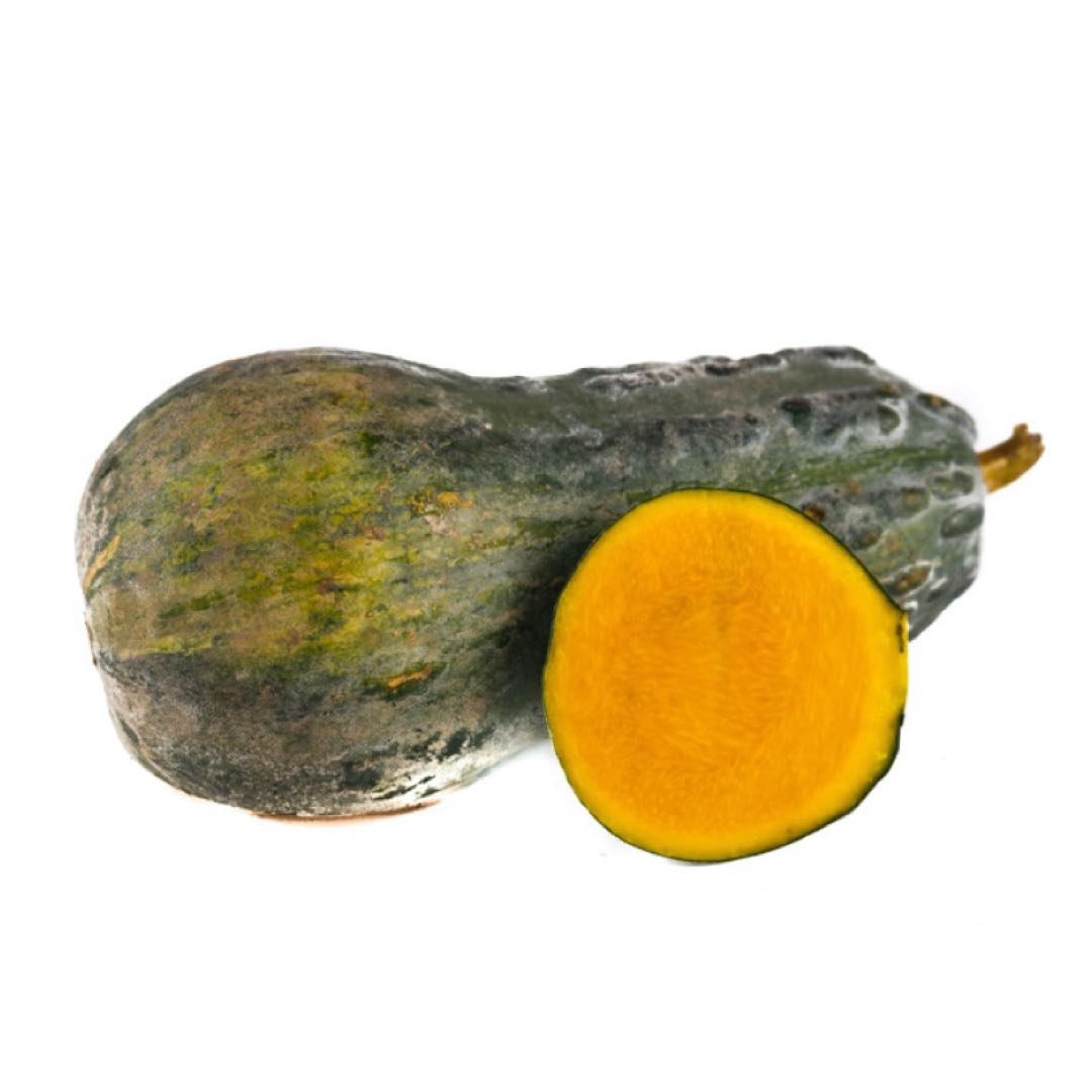 Welcome to Harvest Agriculture - Saudi Arabia